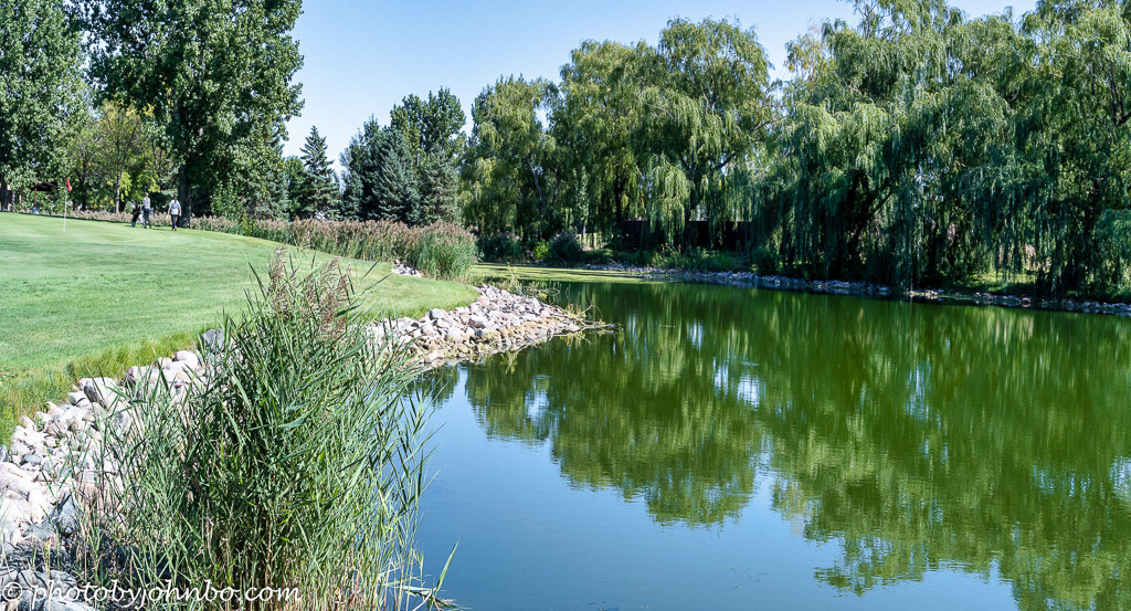 Lens-Artists Challenge #317 – Walking the Neighborhood – Journeys with ...